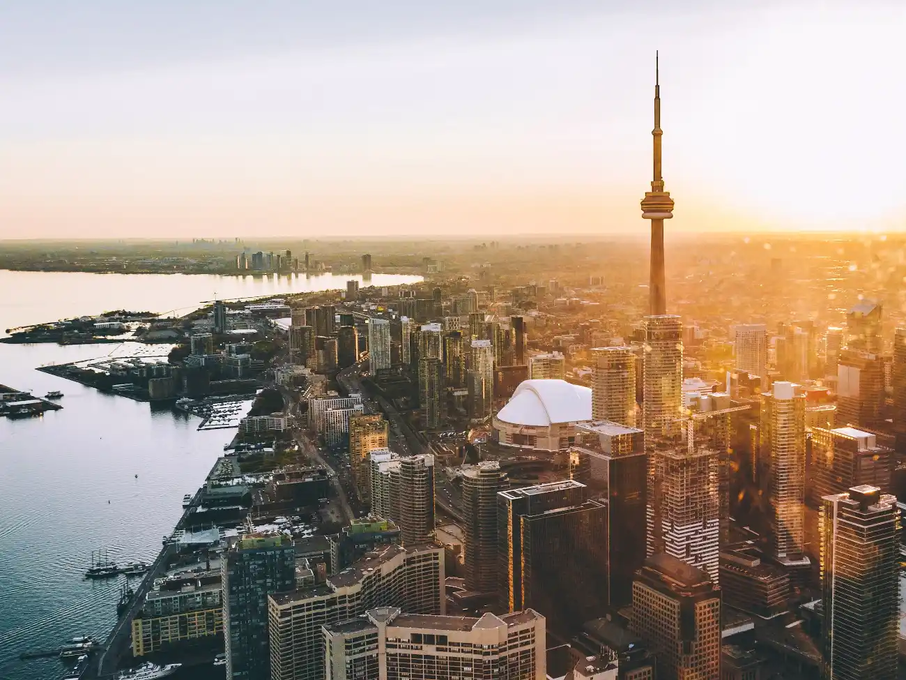 The Toronto Industries to Keep an Eye on | Buchanan Technologies